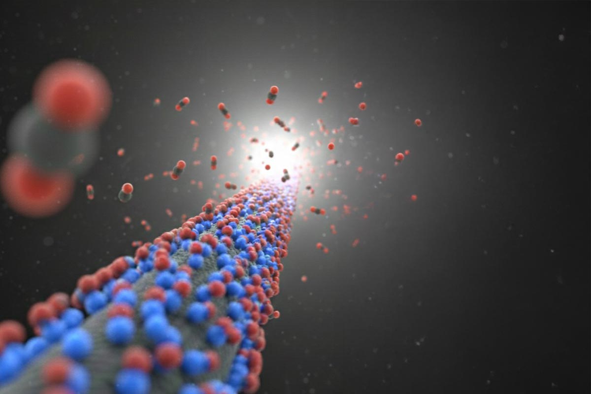 🏭 New low-cost materials capture CO₂