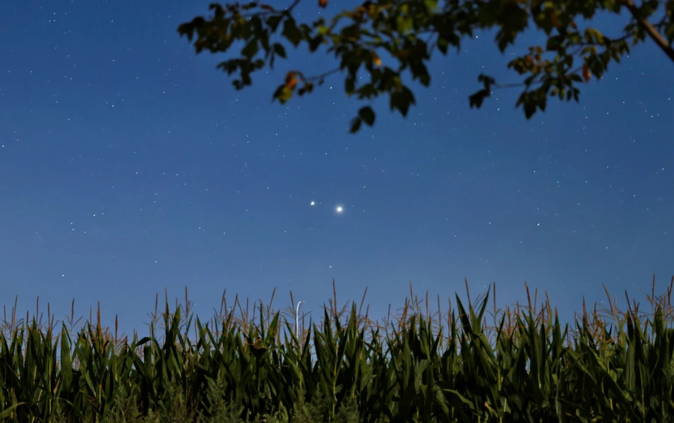 Venus–Jupiter alignment boosts Gemini’s communication and career focus