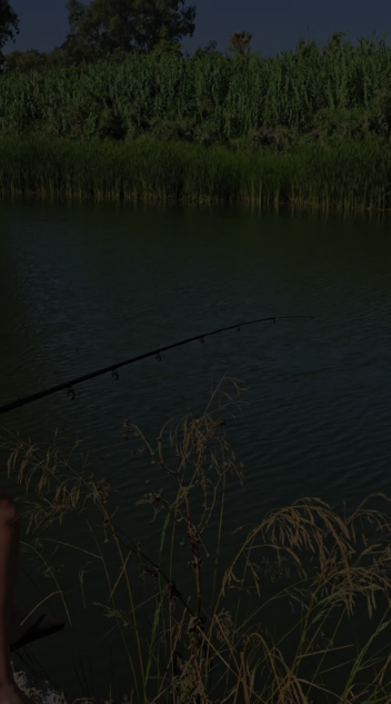 Fishing style that feels so relaxing and clean