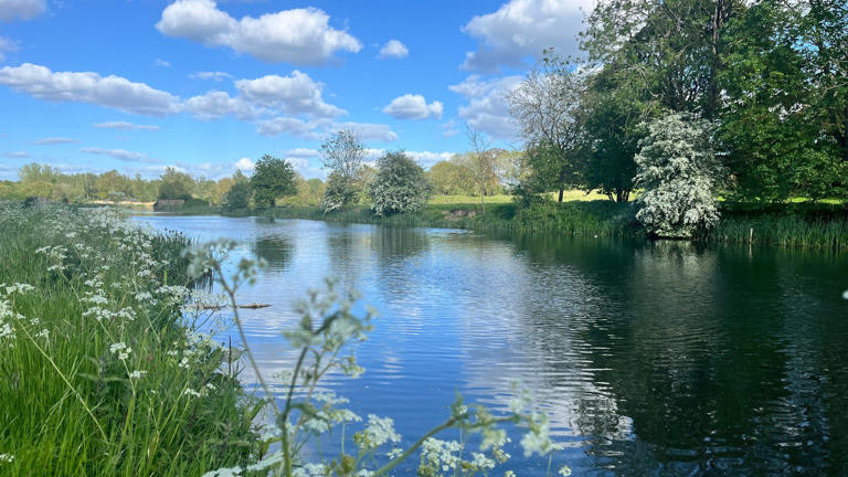 'Don't swim' at 12 of 14 river bathing sites, as more locations announced