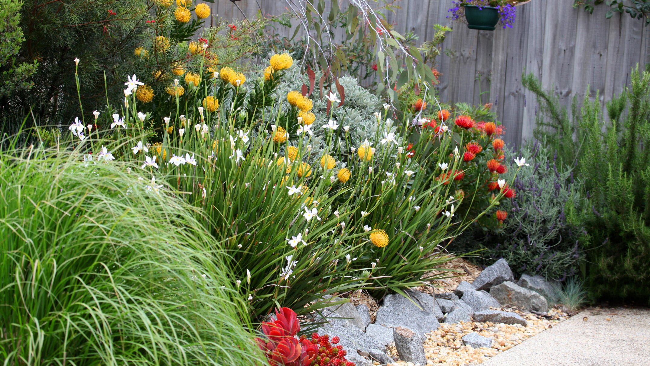 How to kill off your lawn and plant a native garden instead