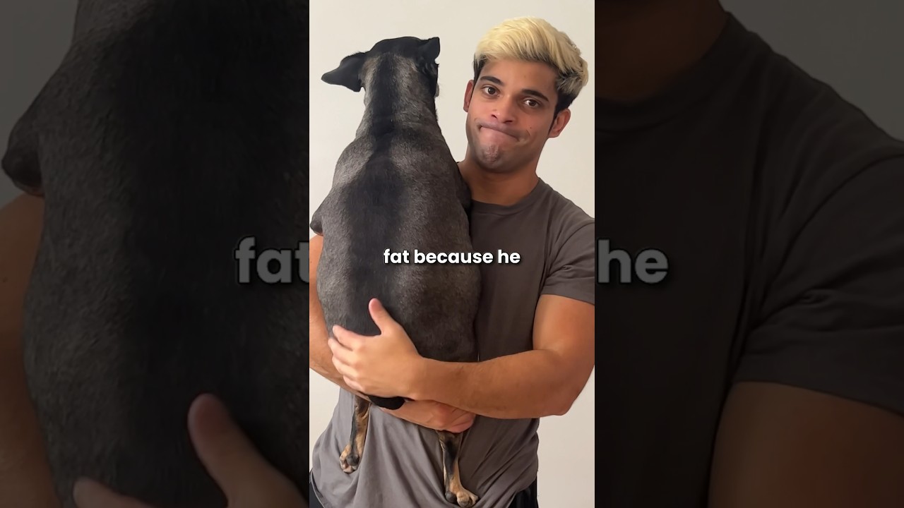My dog is really fat