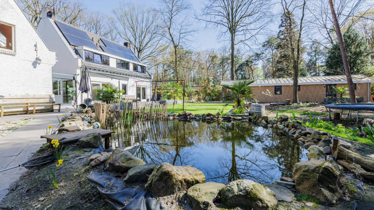 Comedian Steven Brunswijk wil na faillissement ruim € 1,5 miljoen voor ...