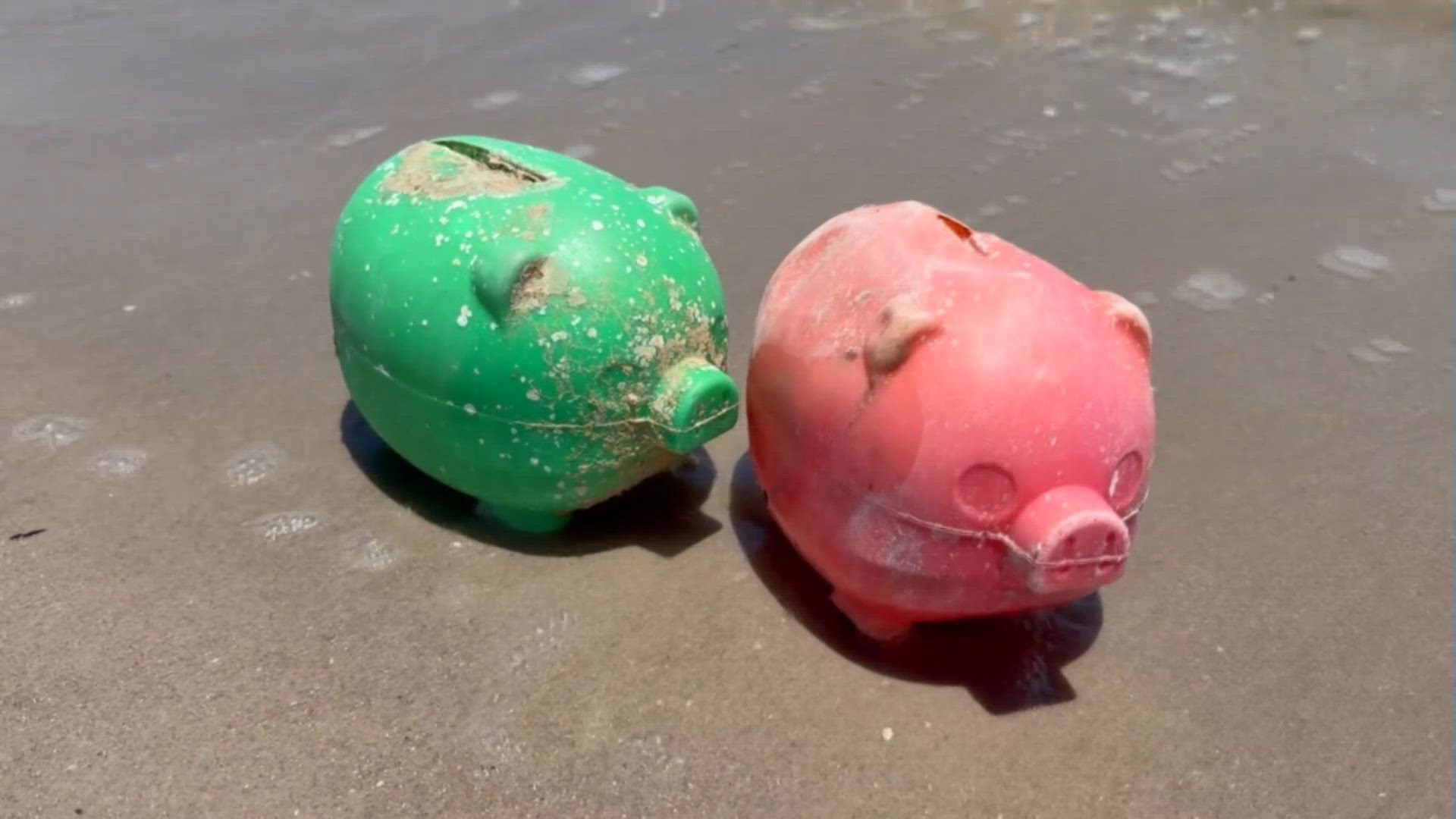 Floating piggy banks: Marine scientist tracks strange finds along Texas ...