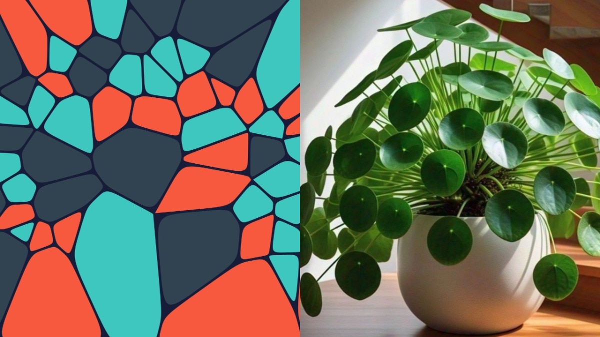 Chinese money plant hides a maths secret that took humans centuries to ...