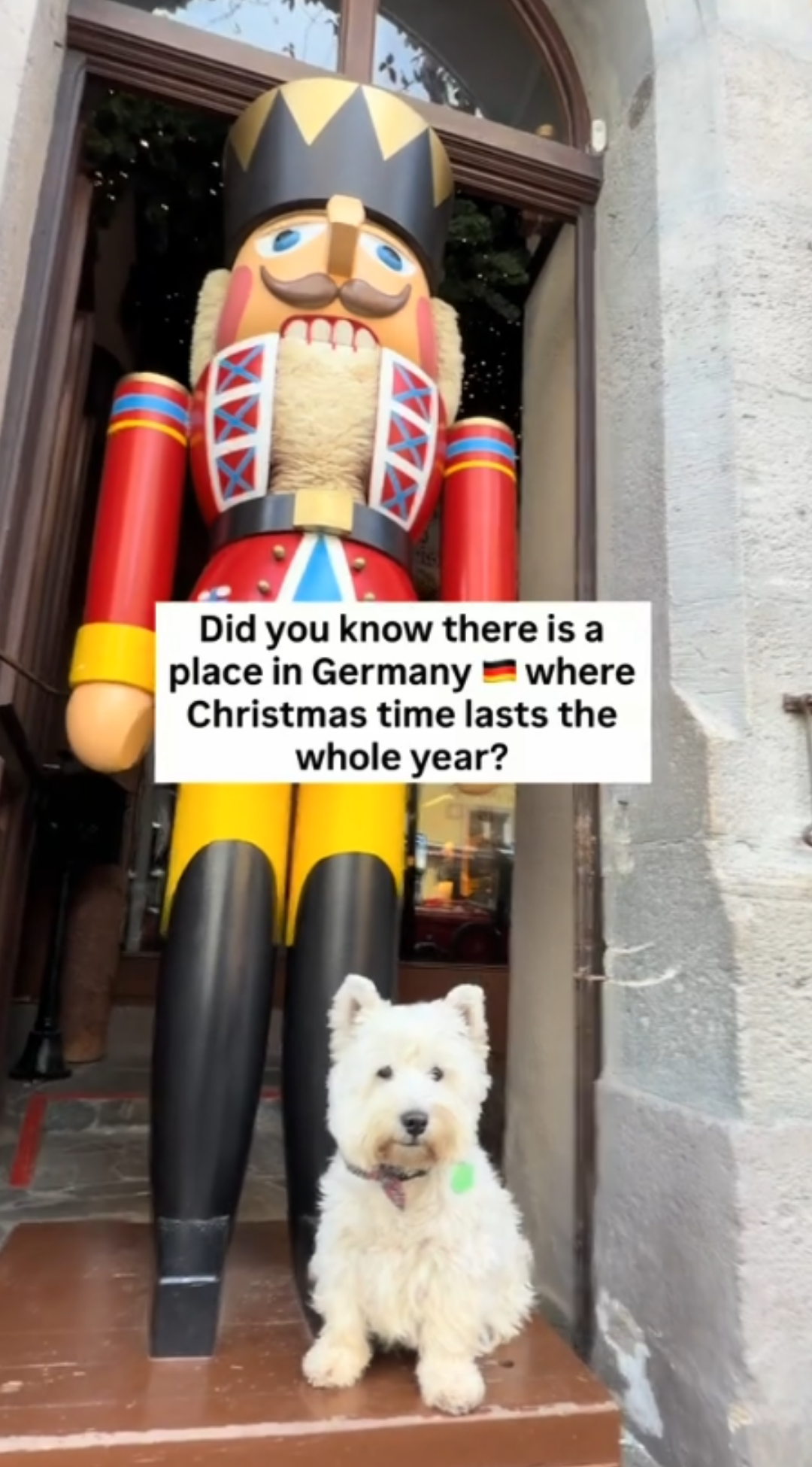 Explore Germany’s Christmas village open all year round