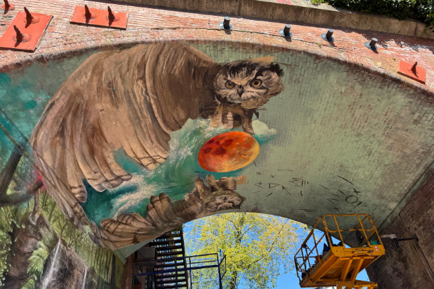 Giant owls take flight in Leeds’ newest underpass mural at Penny Pocket ...