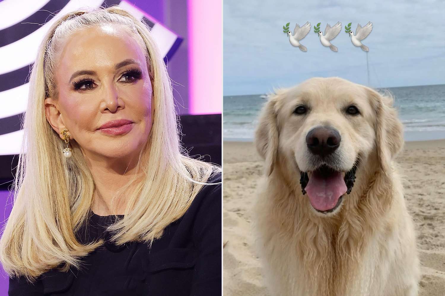 RHOC's Shannon Beador's beloved golden retriever Archie dies 9 days ...