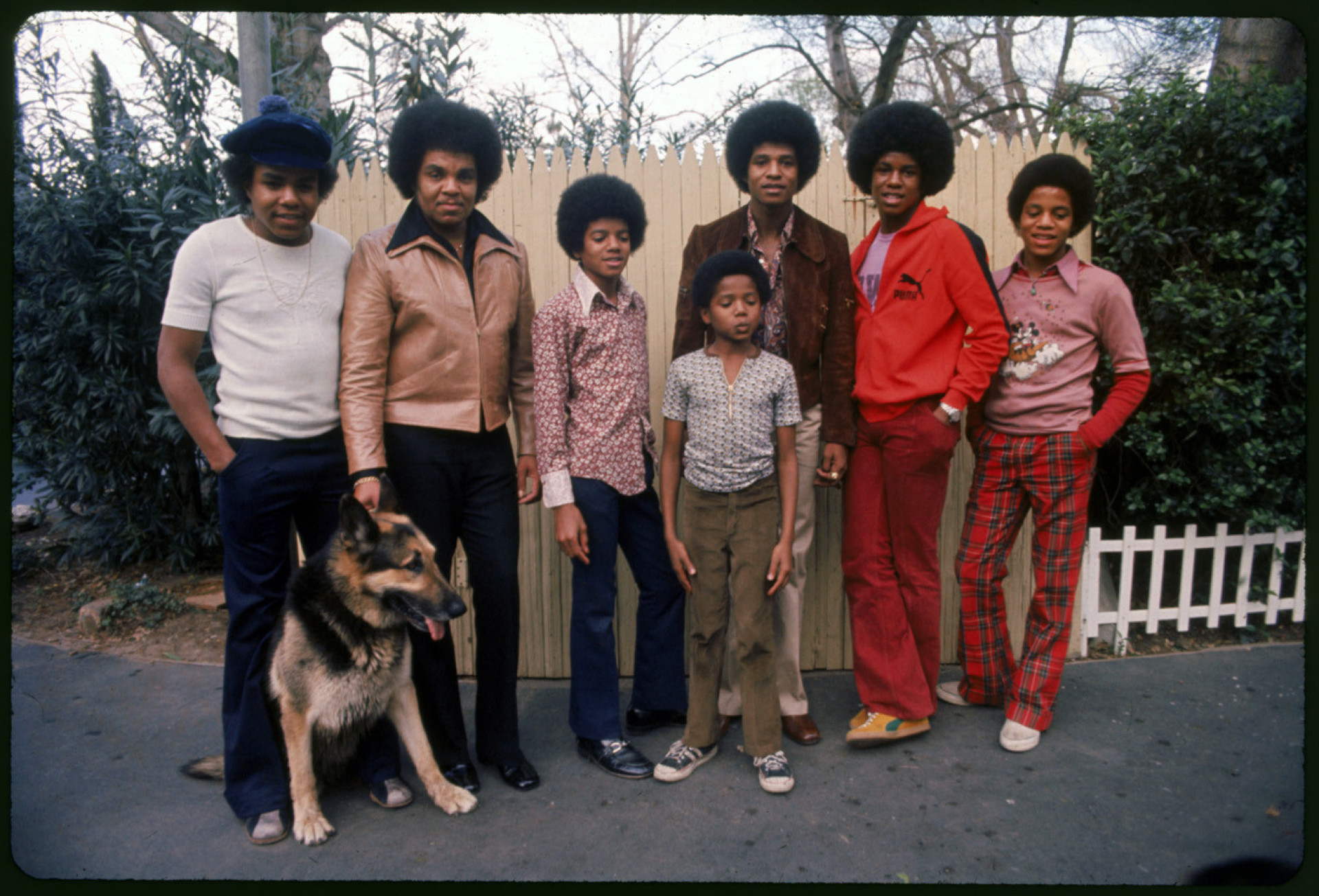 Celebrities you didn't know come from big families