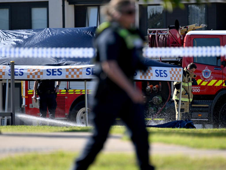 Wild details after body found at playground