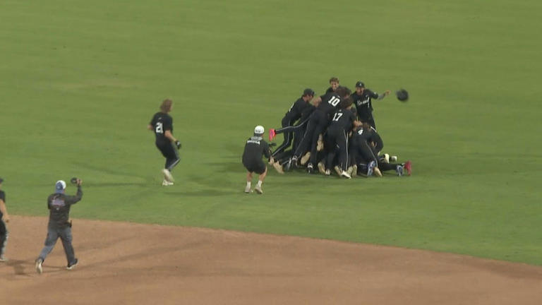 South Walton wins state title, NBH wins softball region again