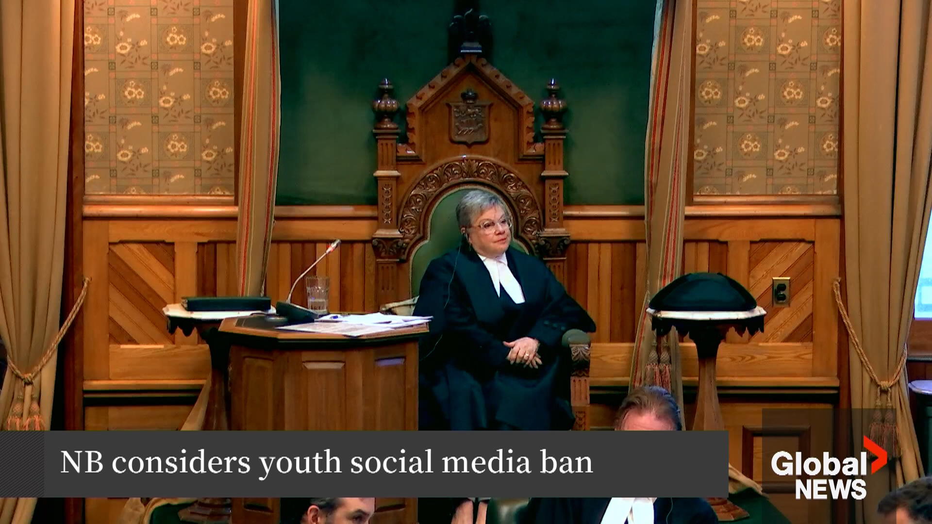 New Brunswick looks into social media and AI bans for youth
