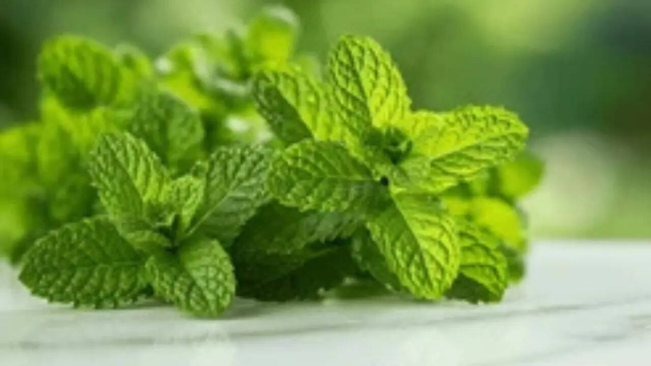 From mint to oregano: Herbs you can easily regrow from kitchen scraps