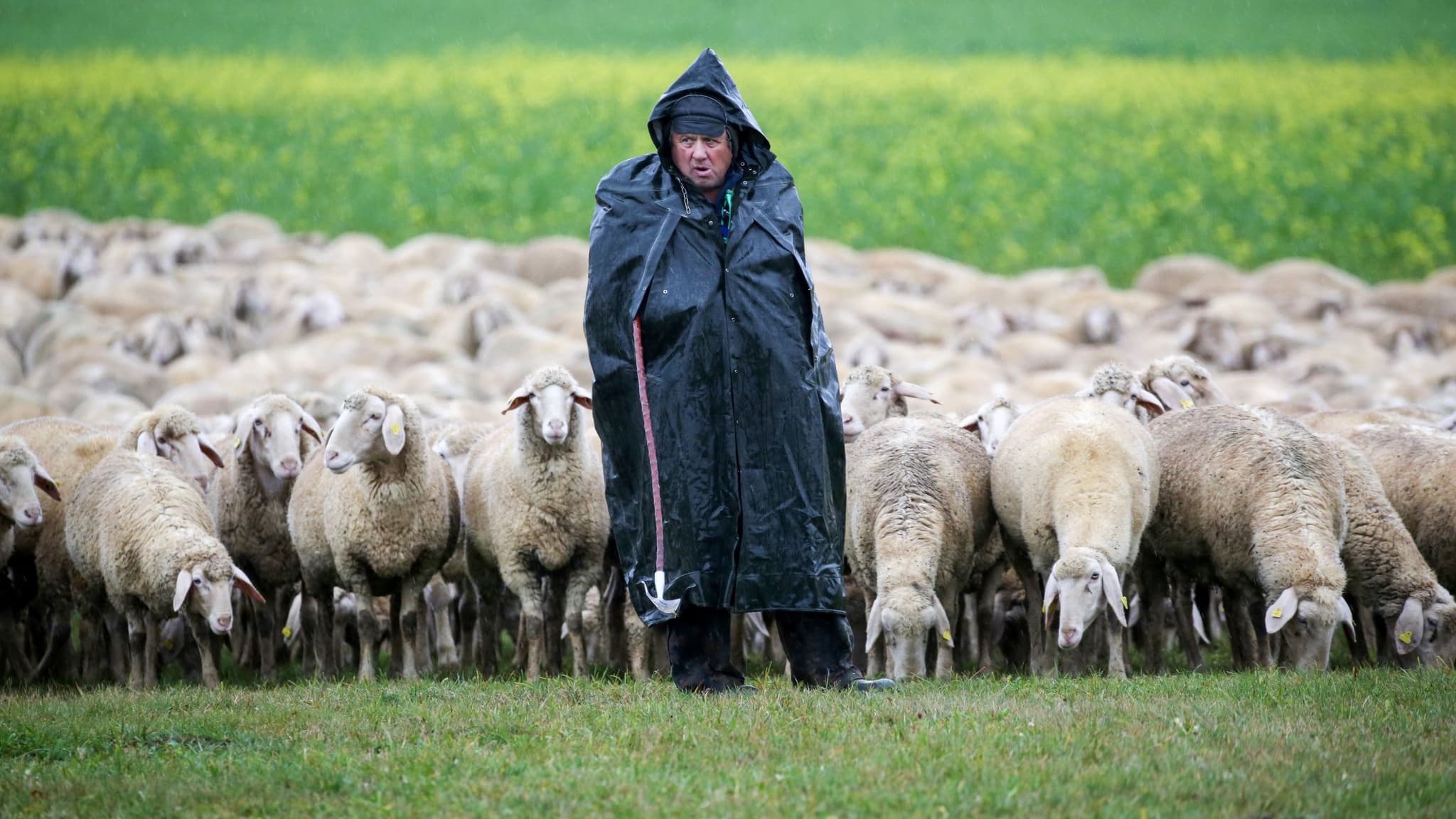 Wetter in BW und Ulm: Regen, Wind und Frost – wo es sogar Schneeflocken ...