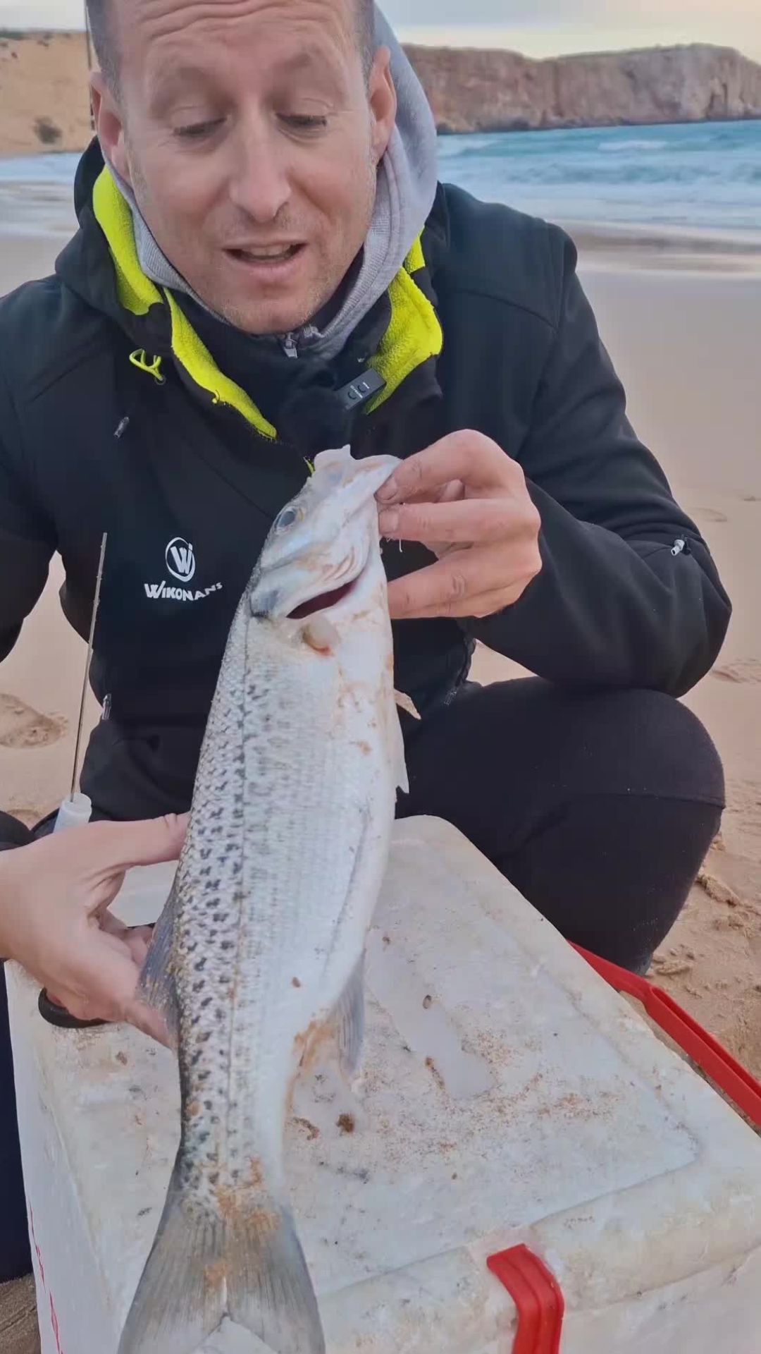 Normativa de pesca: cortar parte de la cola del pez, lo que debes saber