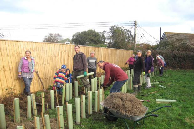 Great Big Dorset Hedge project to join global ecological restoration ...
