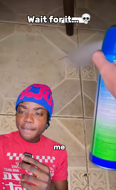 POV: You fear spiders comedy skit