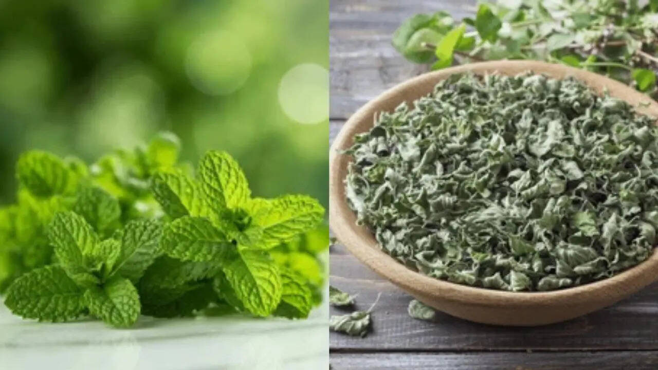 From mint to oregano: Herbs you can easily regrow from kitchen scraps