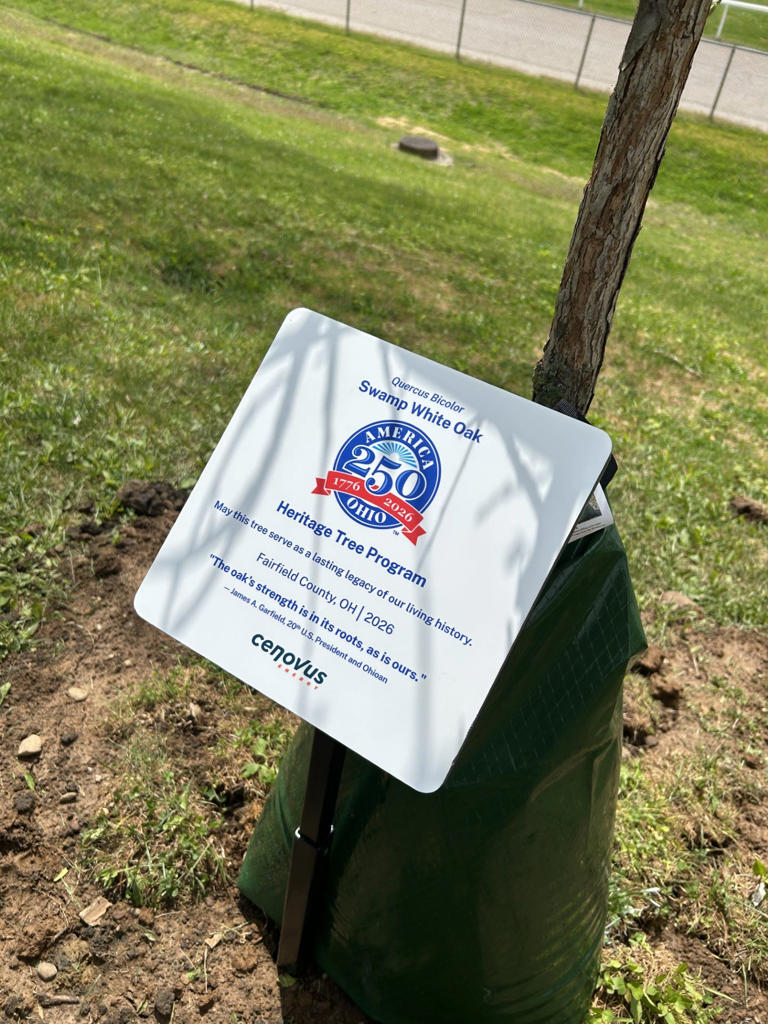 Fairfield County plants white oak for America 250 celebration
