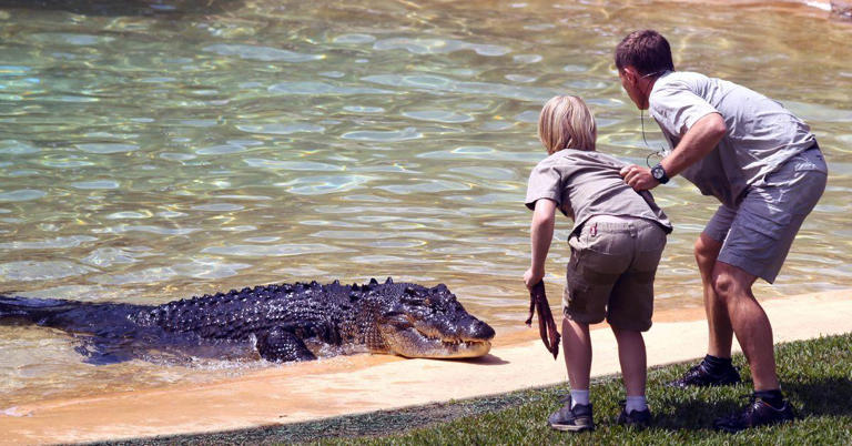 Robert Irwin shares terrifying story of crocodile encounter on Jimmy ...