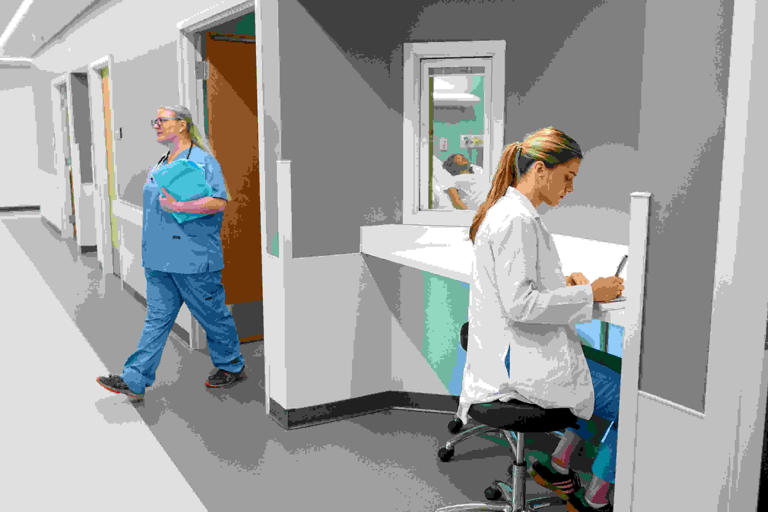 Kingston couple donates $250,000 to Roane State health center