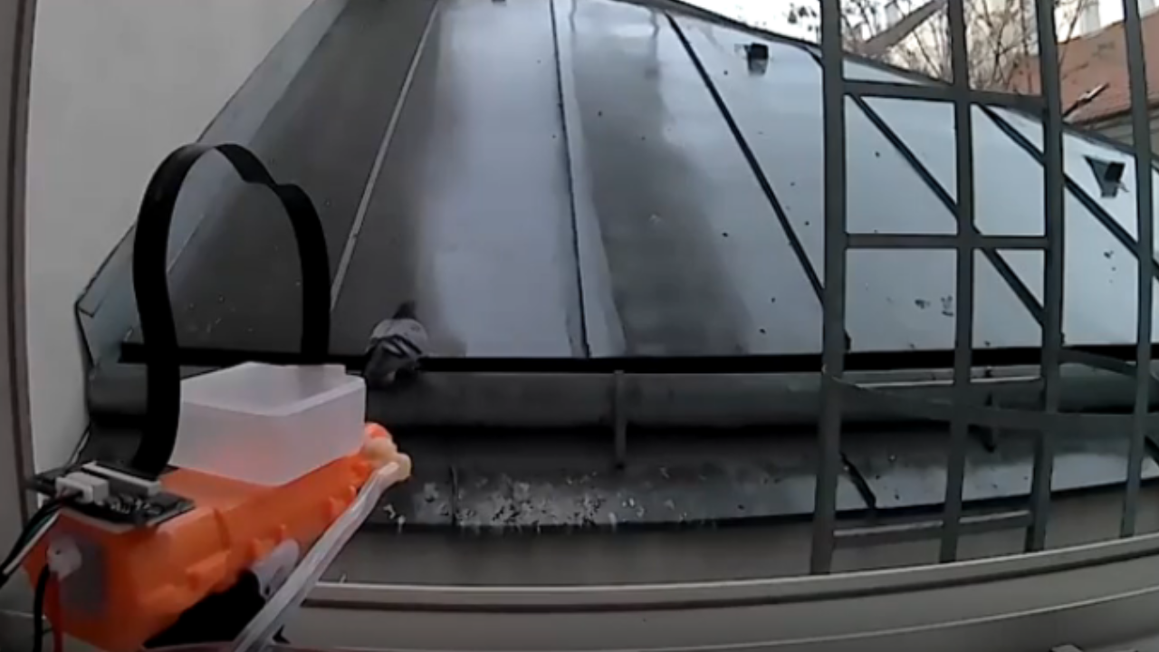 ‘Automated pigeon defence system’ grabs internet’s attention! Video
