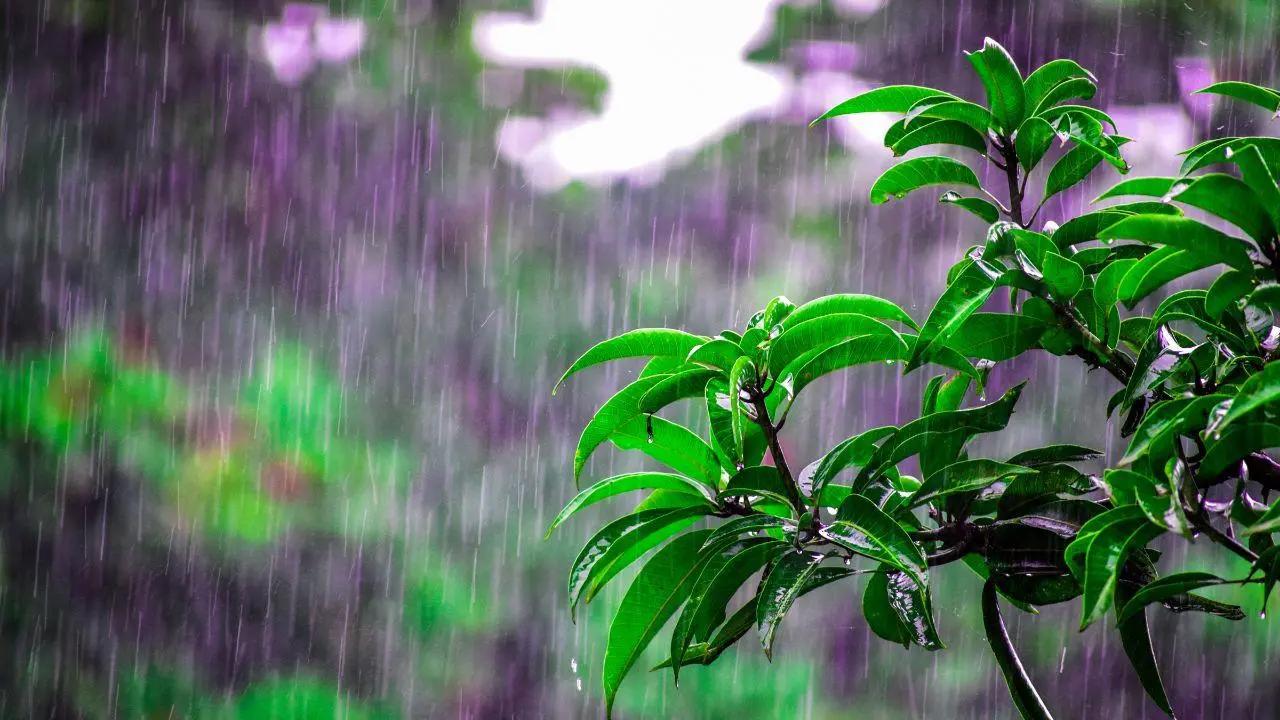 Southwest monsoon to arrive in Kerala on May 26 as heatwave tightens grip