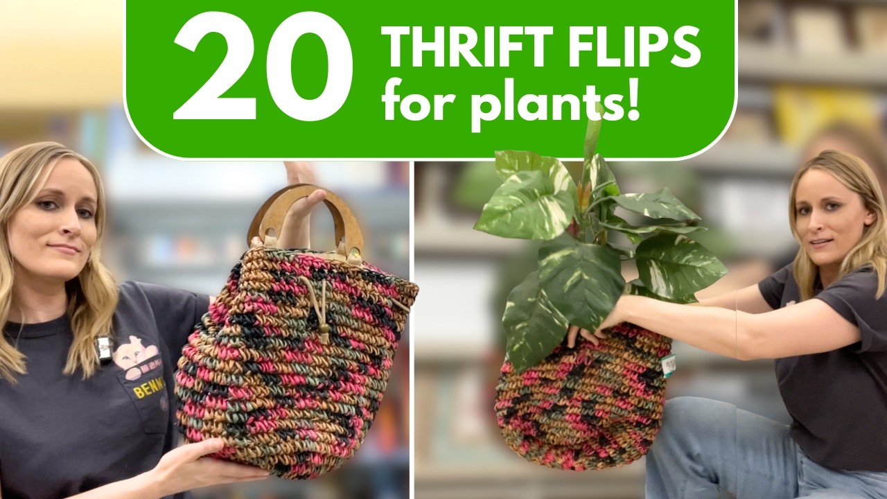 Discover 20 amazing thrift flips for plants and charming decor