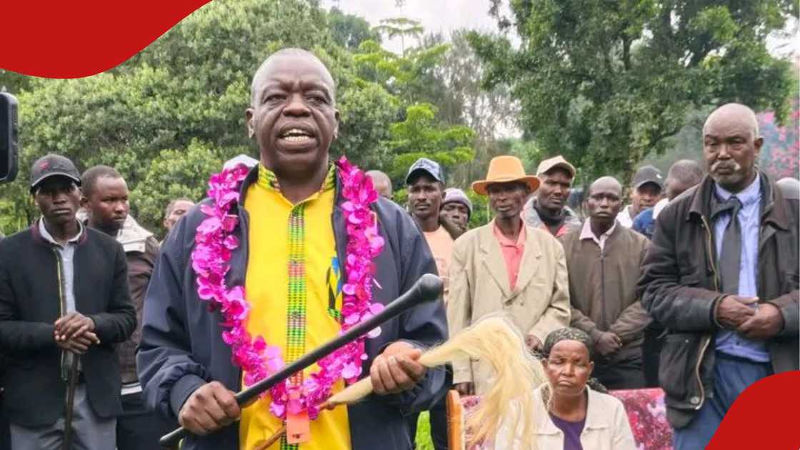 William Ruto's UDA wins all May 14 by-elections in Narok, Samburu ...