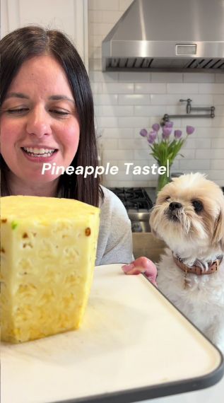 Taste testing new foods with my dog – did they approve?