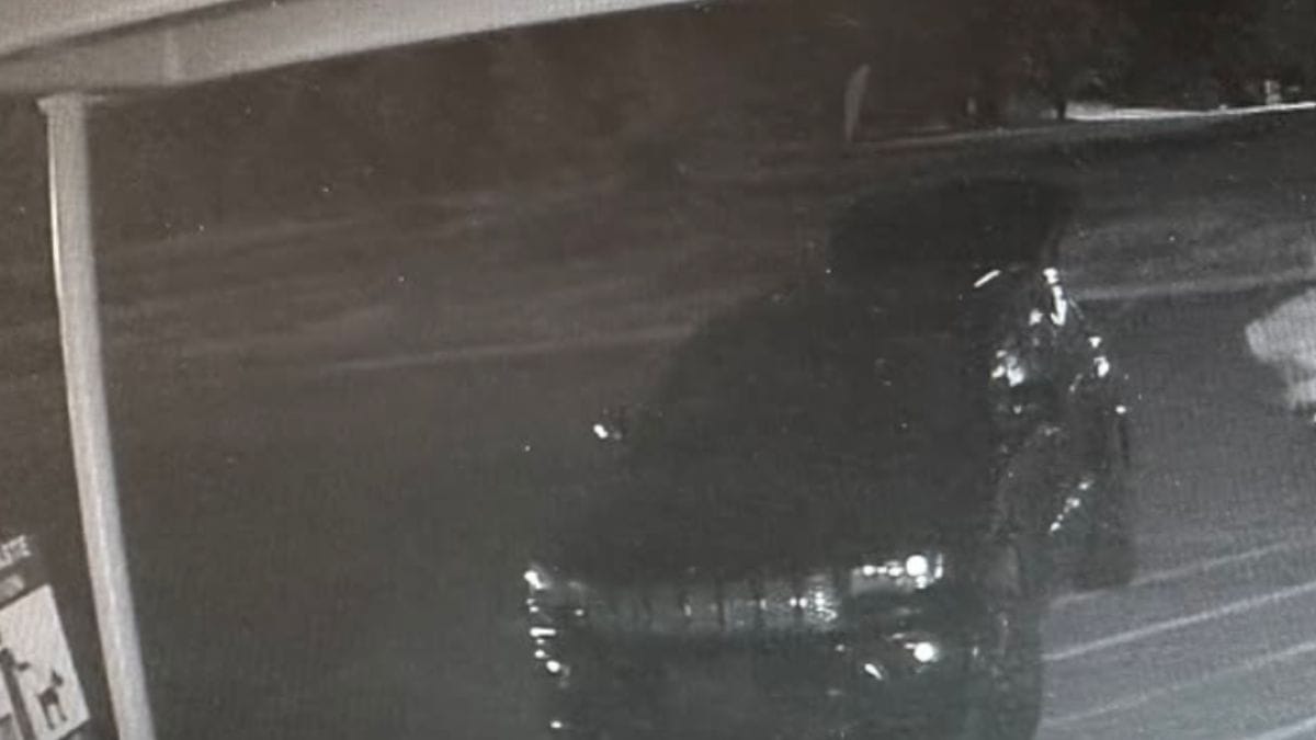 Crate dumped outside shelter at 2am: CCTV reveals a shocking scene