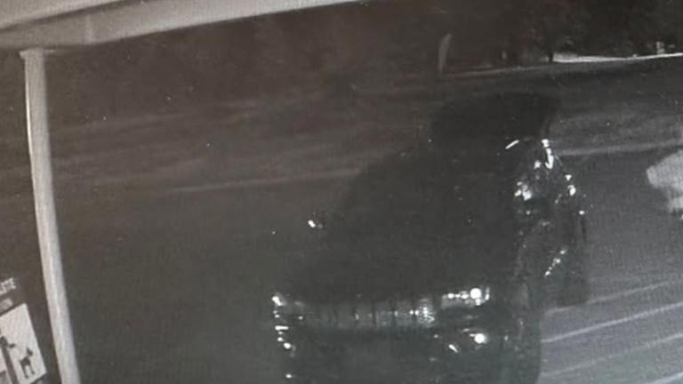 Crate dumped outside shelter at 2am: CCTV reveals a shocking scene