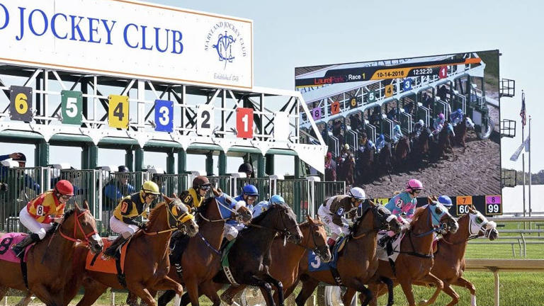 The Haiku Handicapper presented by FanDuel Racing: 2026 Preakness Stakes
