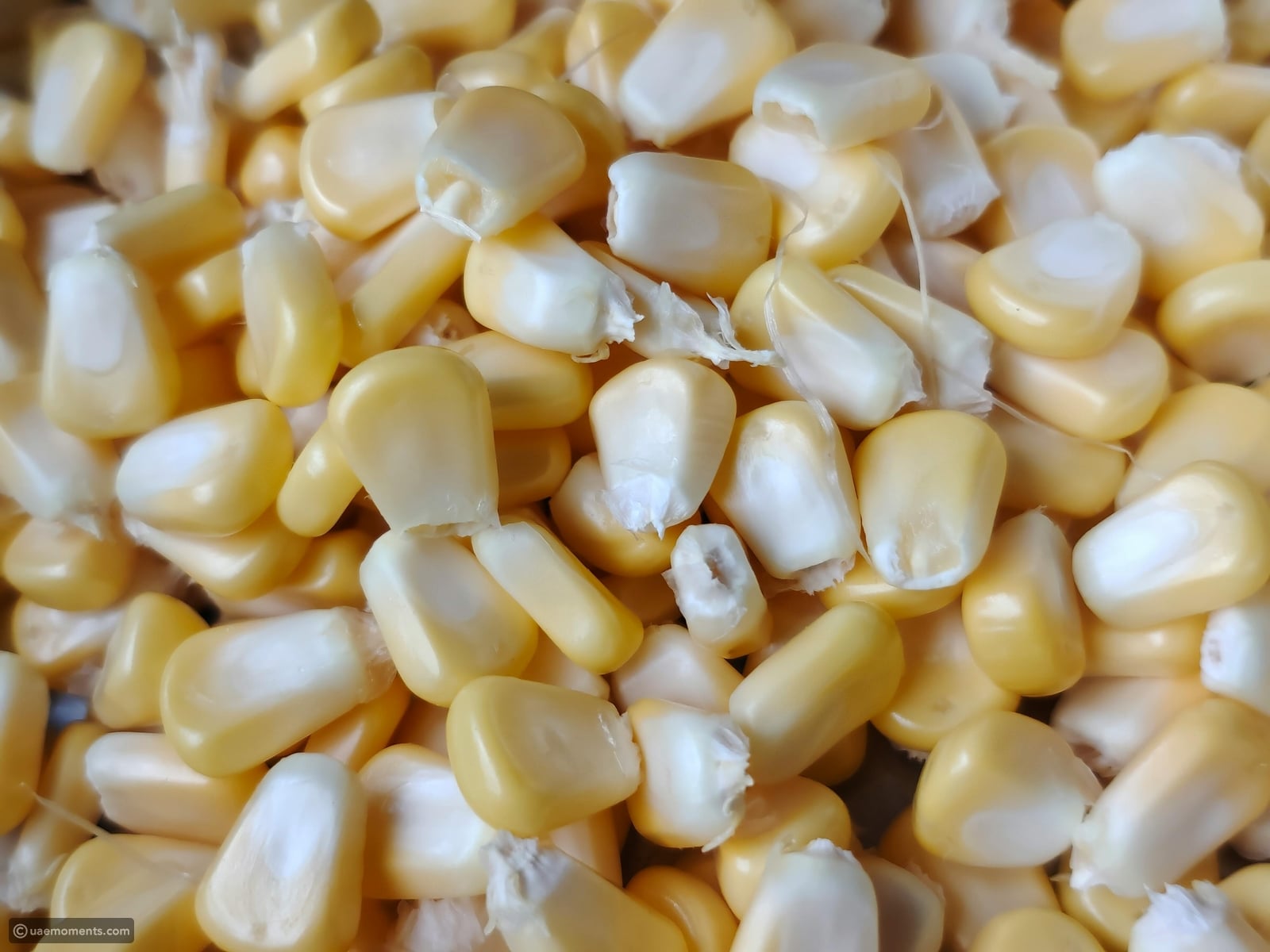 8 vegetables you’re better off buying frozen instead of fresh