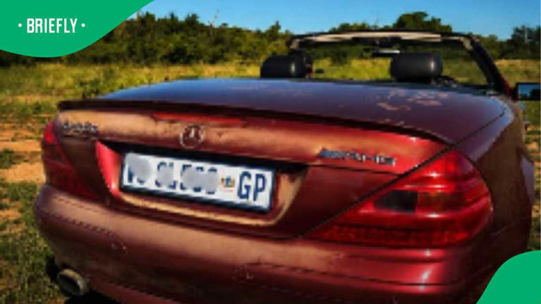 Kruger driver responds to backlash as SANParks condemns viral Kruger ...
