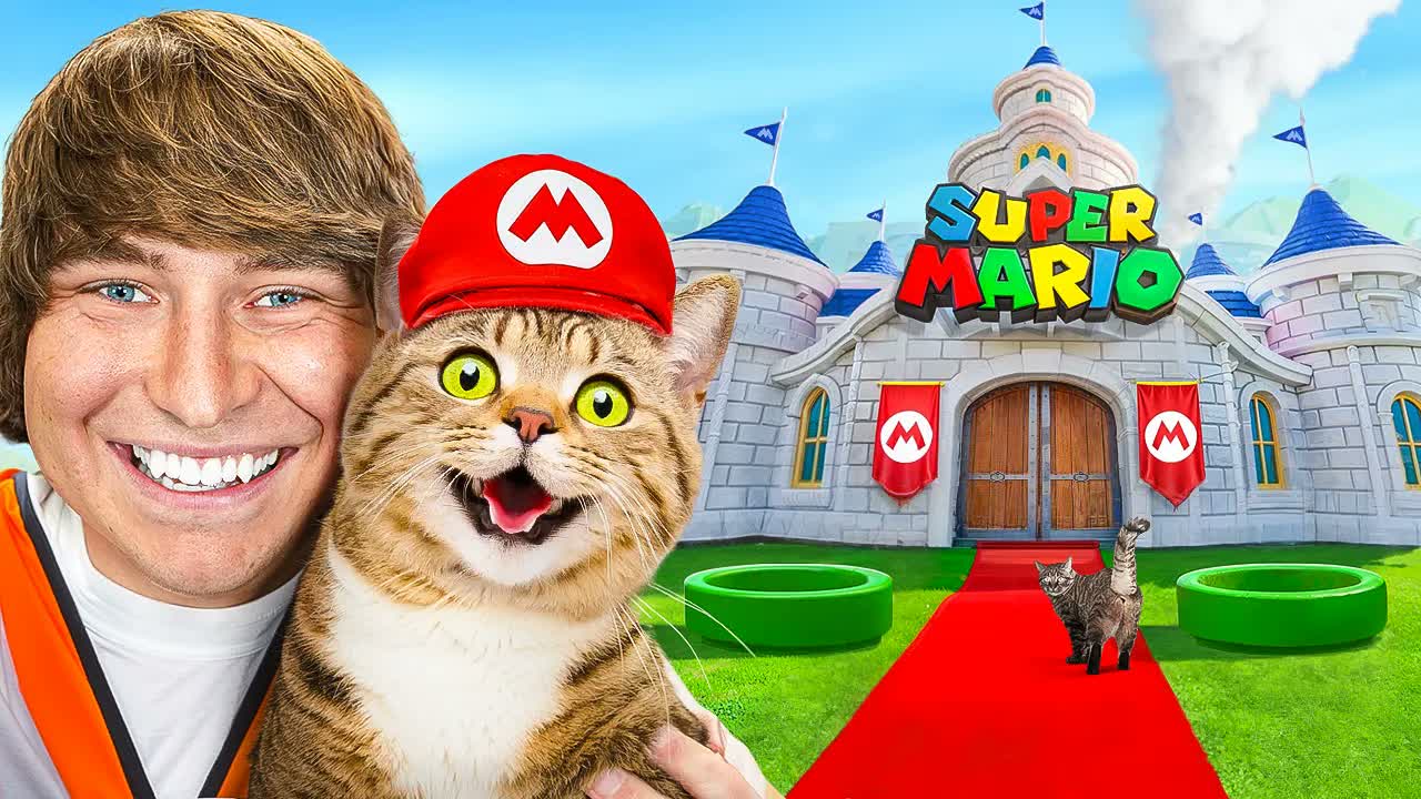 A $25,000 Super Mario castle built for a cat