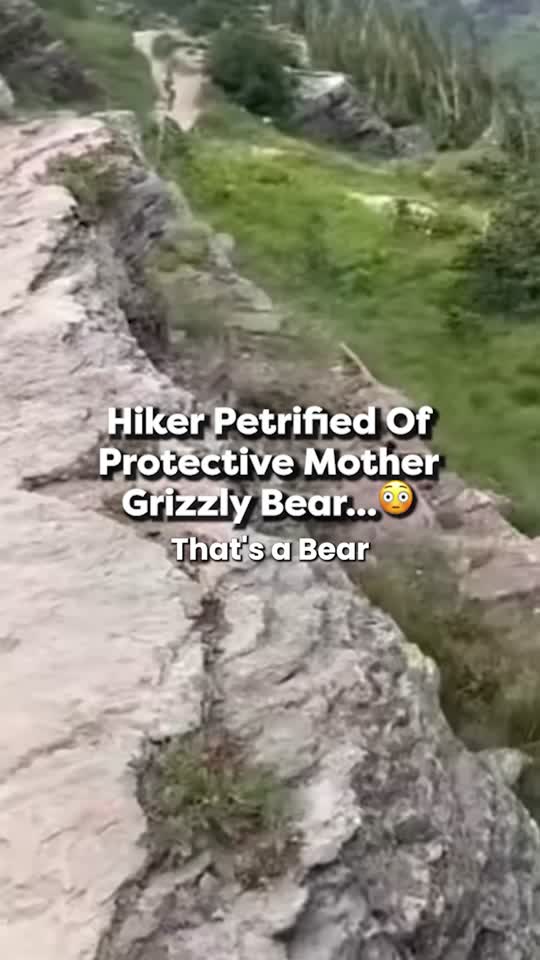 One wrong step put this hiker face-to-face with a protective mother bear
