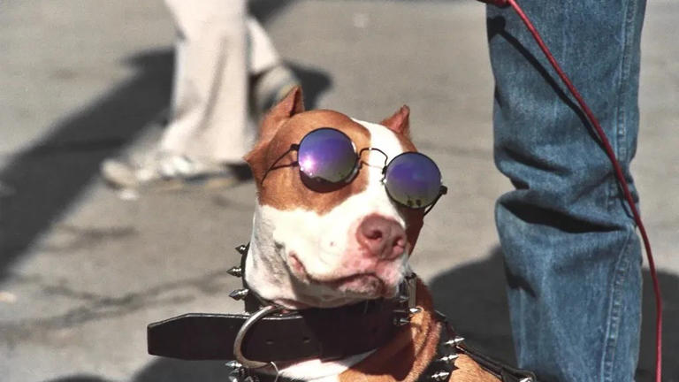 10 inventions that started as jokes - but still exist today