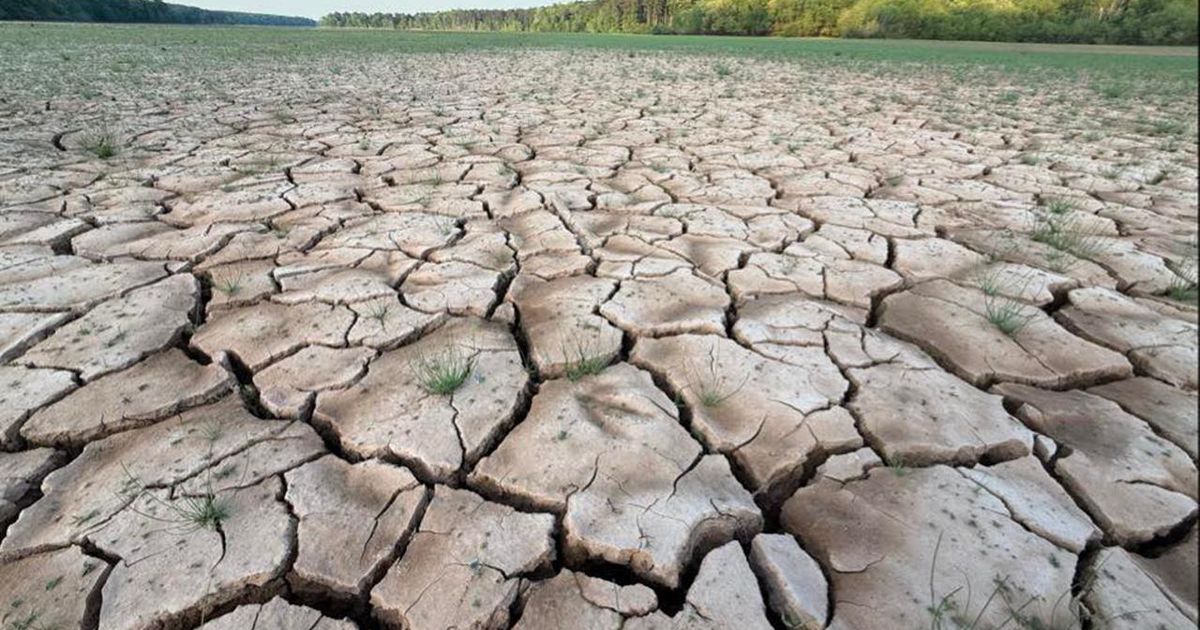 Raleigh water-use restrictions continue, what leaders say could trigger ...