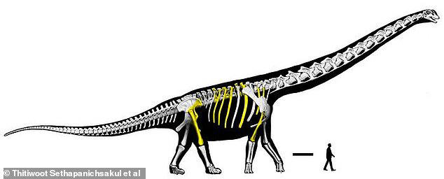 Meet the Nagatitan! Dinosaur 3x the size of a BUS roamed South-East ...