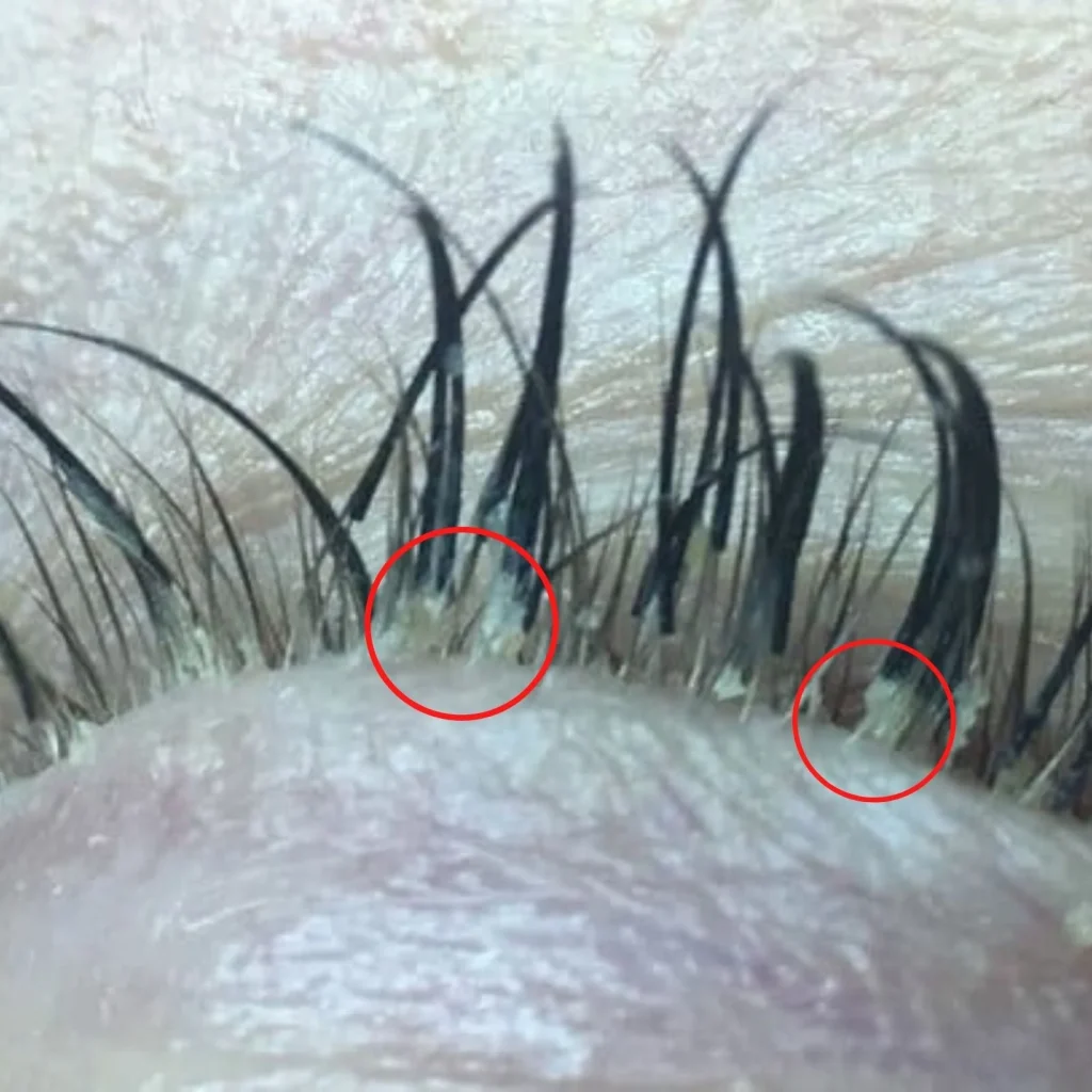 30 fun facts you haven’t heard a million times before