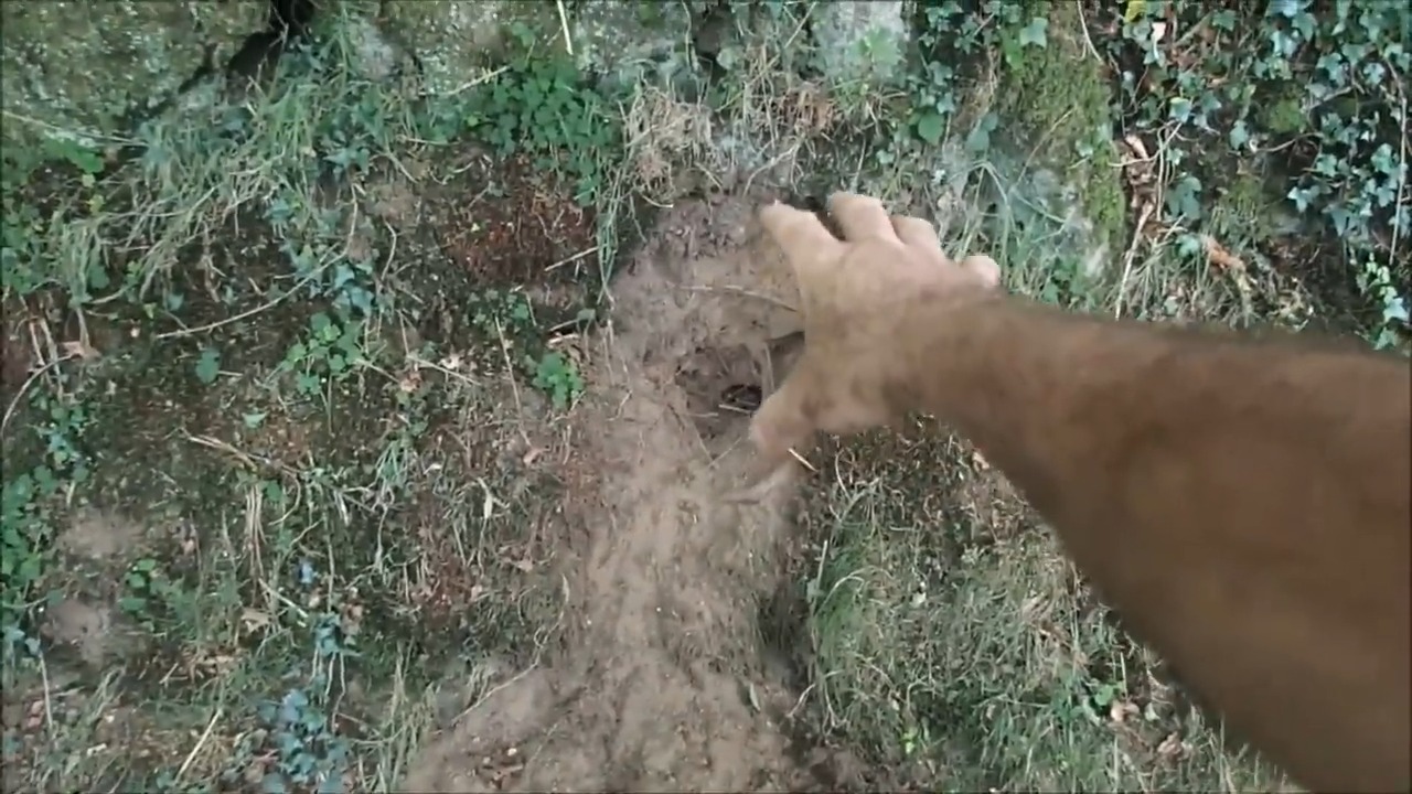 Sherman tanks hit a living wall - why Normandy’s hedgerows were a ...