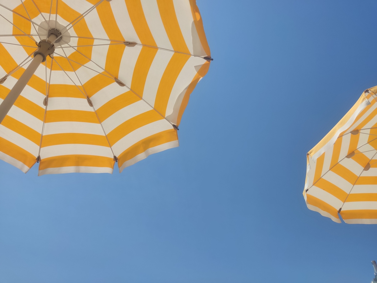 À 5,99 euros chez Lidl, ce petit parasol coloré pourrait vite devenir l ...