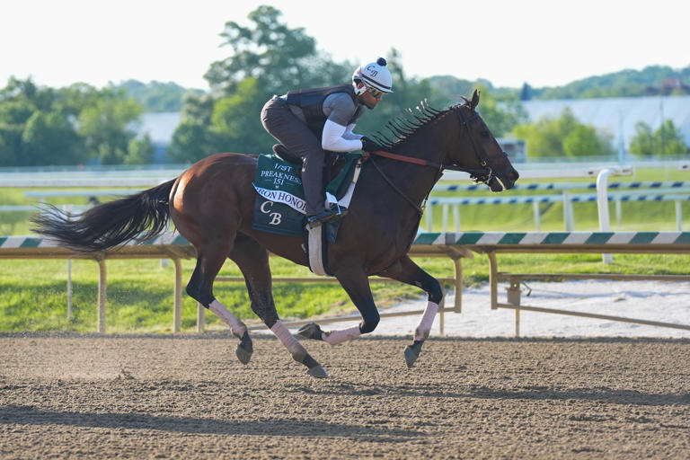 Meet the horses who ran in the Preakness Stakes