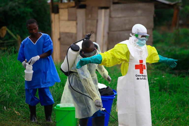 New Ebola outbreak confirmed with 65 deaths and hundreds of infections