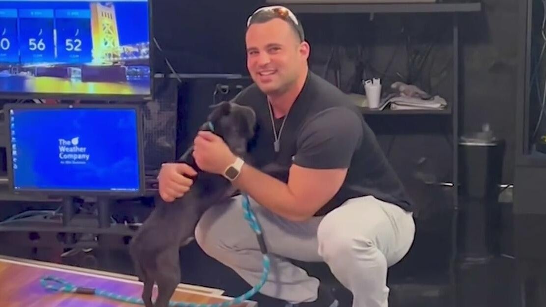 How meteorologist Nic Merianos adopted his dog Stormy during a live ...