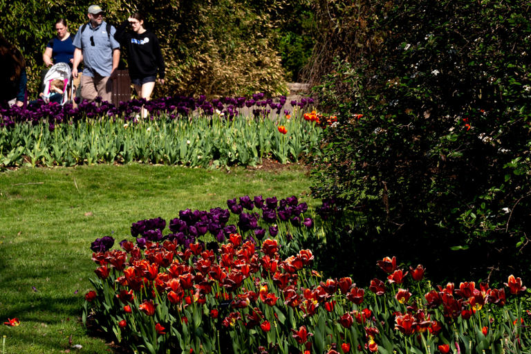 Cincinnati set for summer weather surge, temps to hit 90 next week