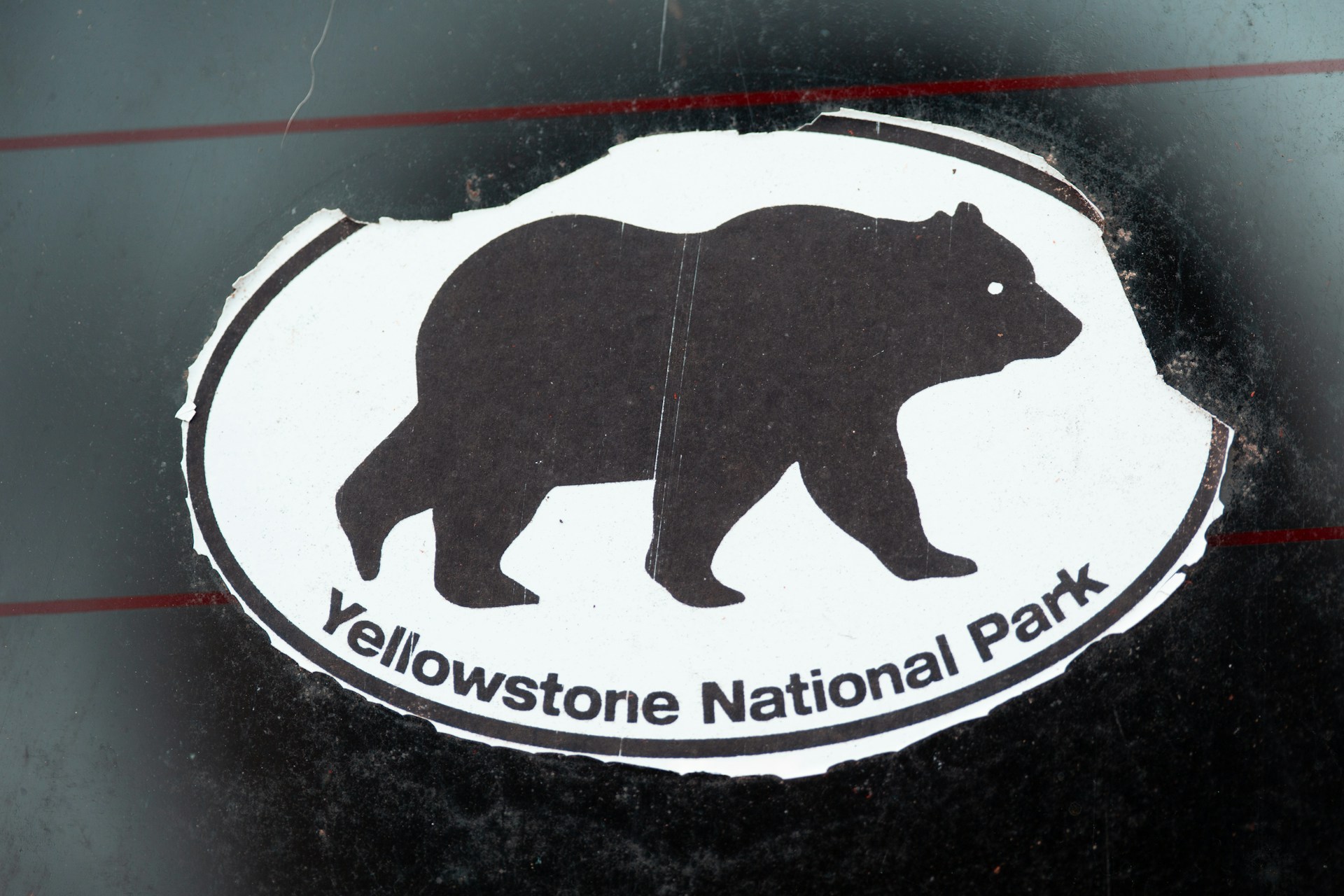 Que faire en cas d'attaque d'ours?