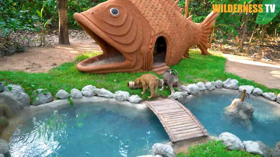 Watch tiny puppies explore their new fish house – the ponds and bridge ...