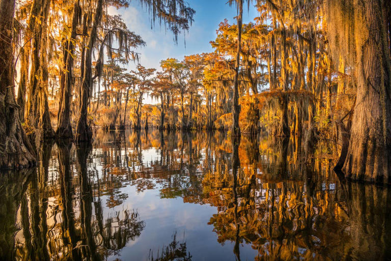 7 most alligator-filled places in Texas